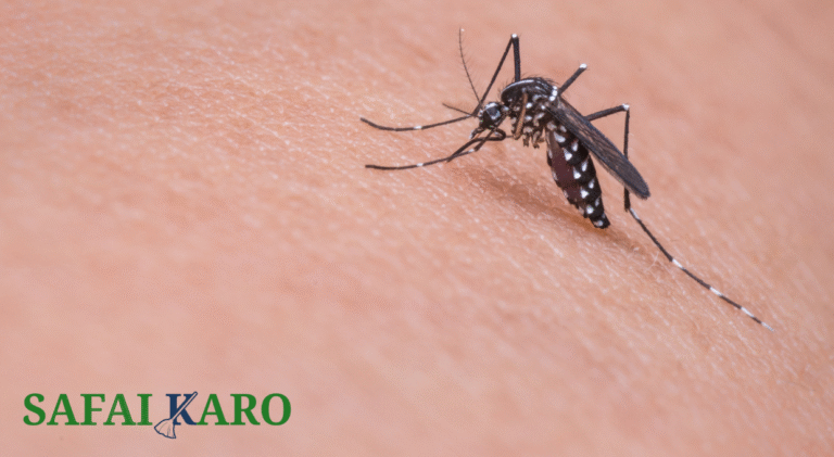How to Get Rid of Mosquitoes in House: Expert Tips and Solutions